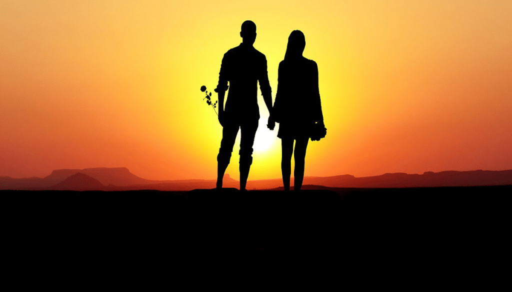 The Perfect Sunset Lifeschool